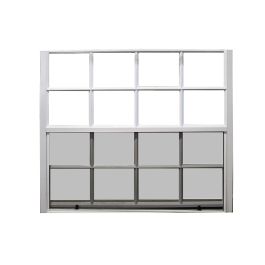 Oran Aluminium Sash Window 48 In X 50 5/8 In Wht