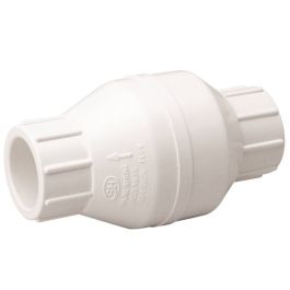 Pvc Solv Check Valve 1 In